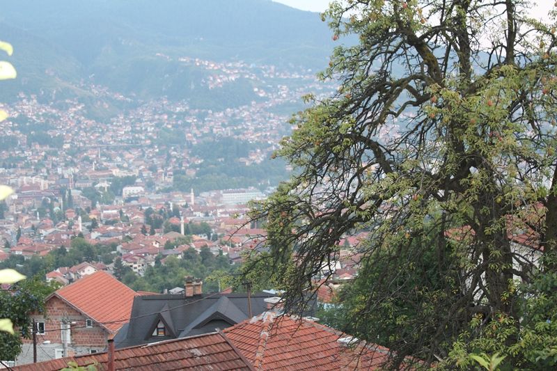 sedrenik2 - Sarajevo Times