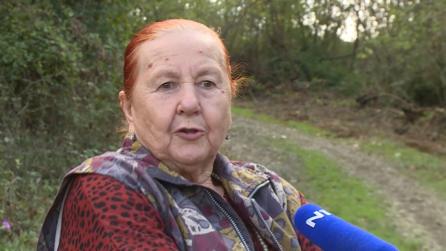 The Returnee Marko Misic died after being brutally beaten - Sarajevo Times