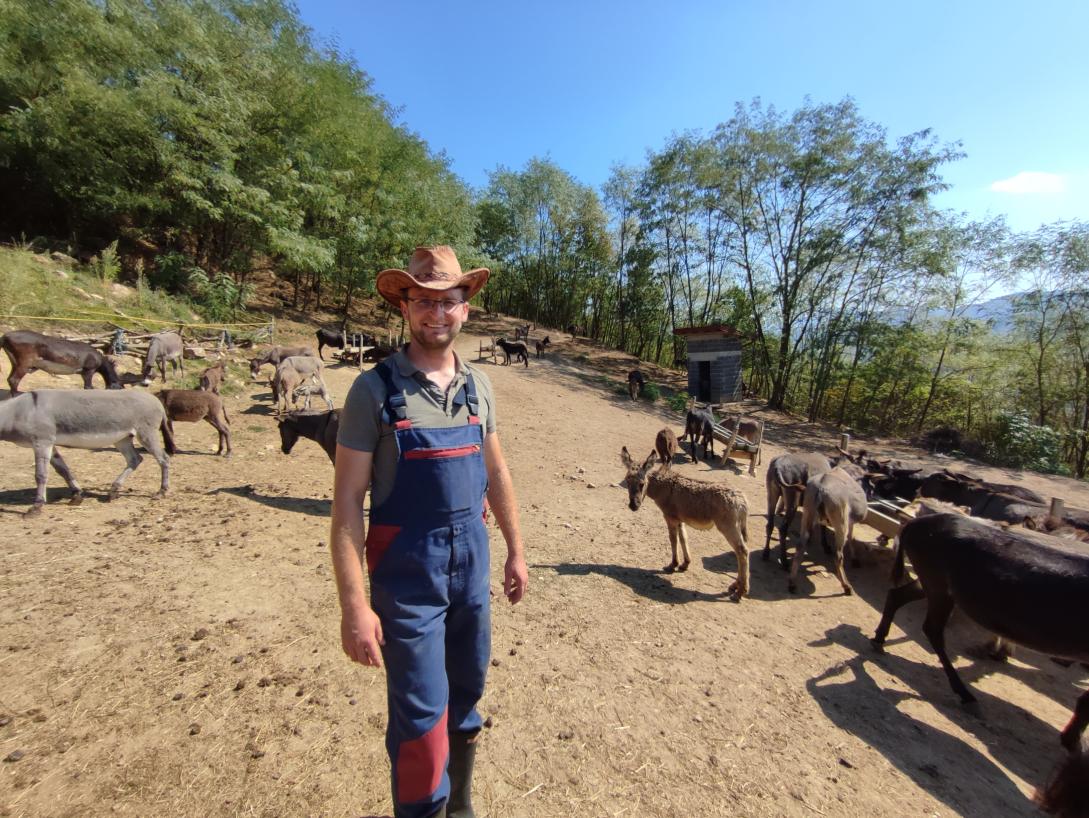 A Green Destination with Sustainable Development on a Donkey Farm: A ...