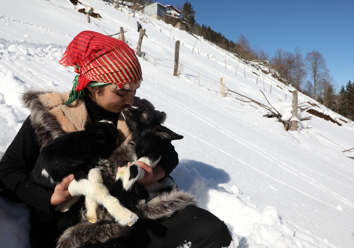 Love for Animals: "Turkish Heidi" takes care of Sheep and Goats as a ...