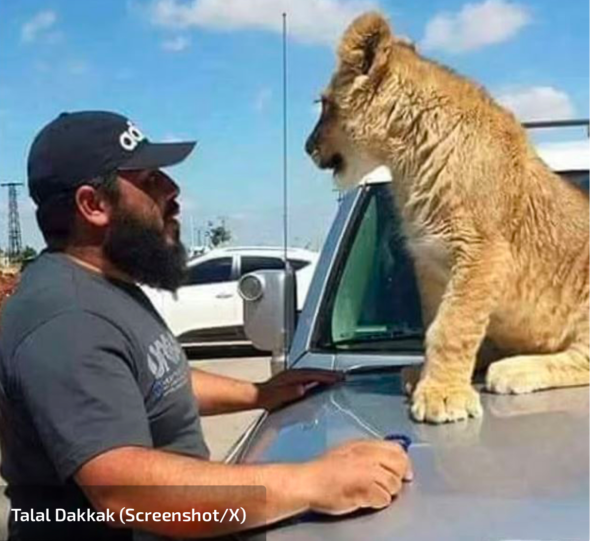Assad's Military Official who "fed Prisoners to his Lion" was executed ...